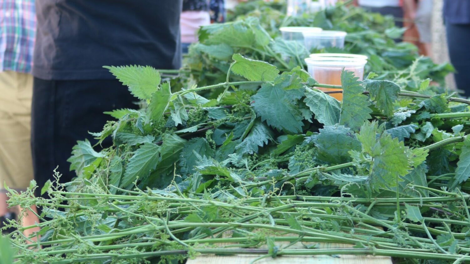 Food - Great Big Story