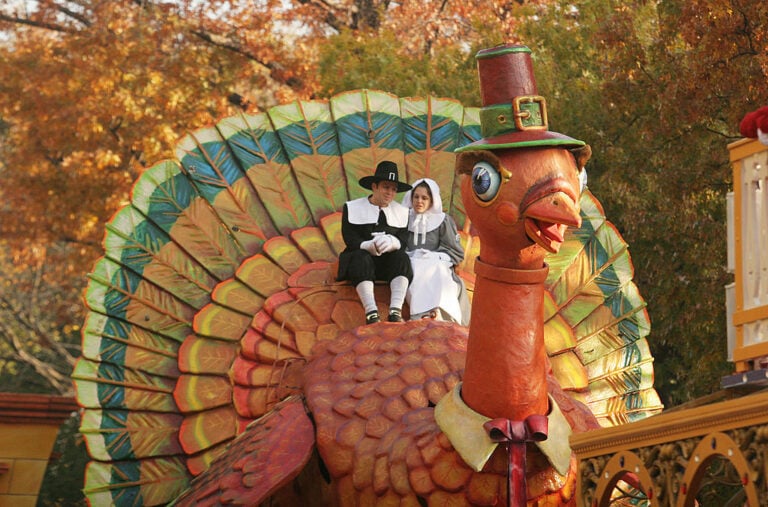 What is the heaviest turkey ever? (And other turkey facts) - Great Big ...