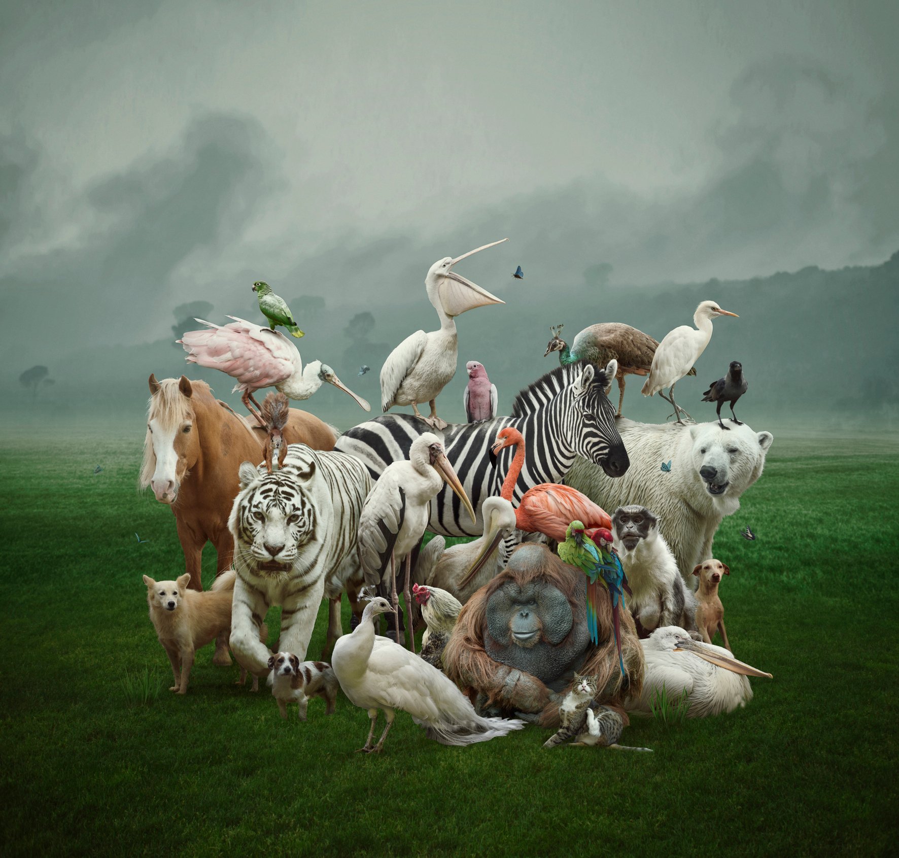 What is the world's most populous animal? - Great Big Story