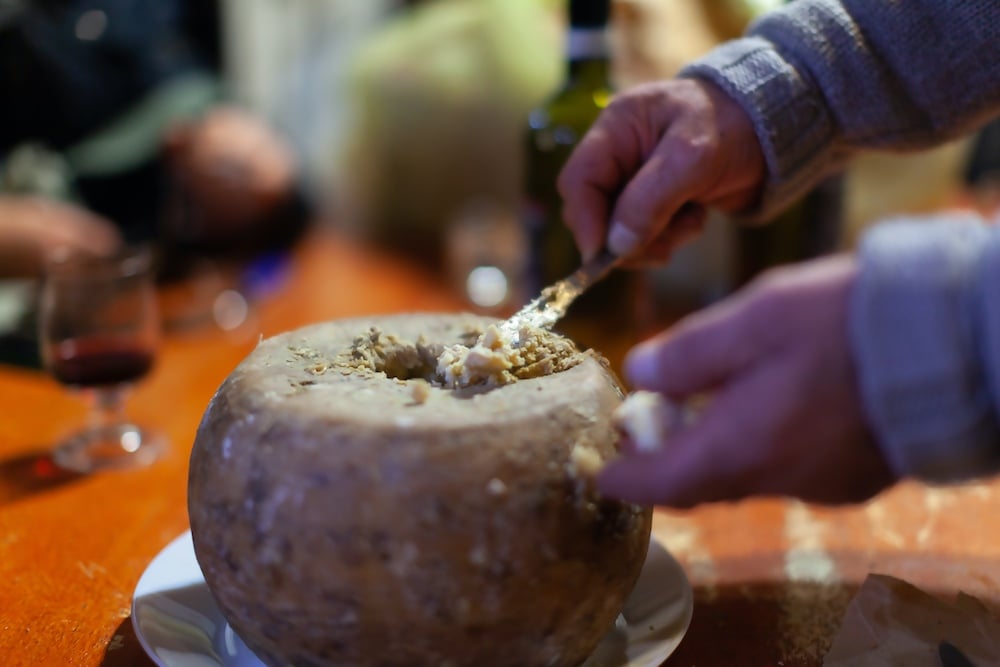 Would you try the Italian cheese infested with live maggots? - Great ...