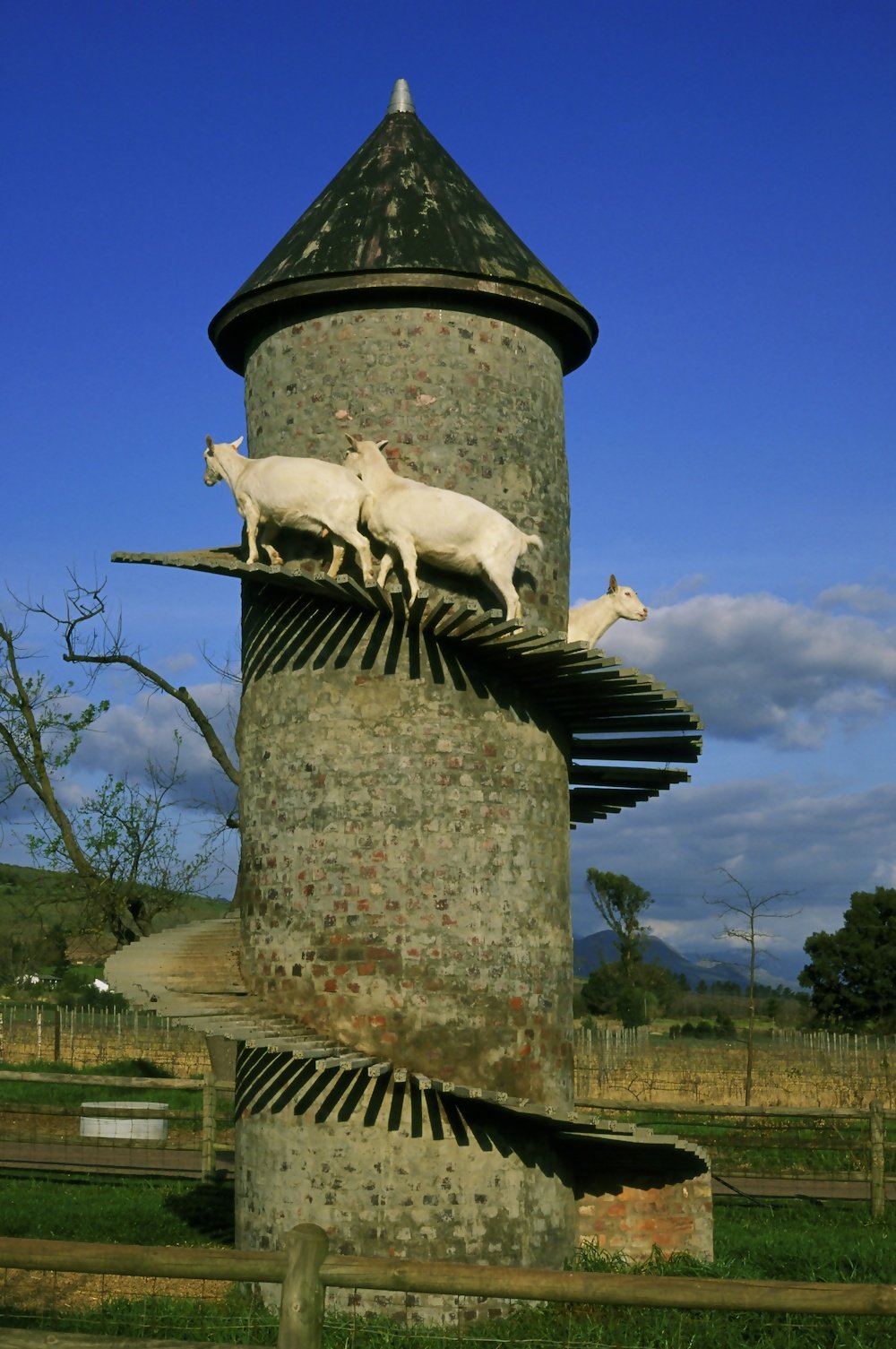 The wonderful world of Goat Towers - Great Big Story